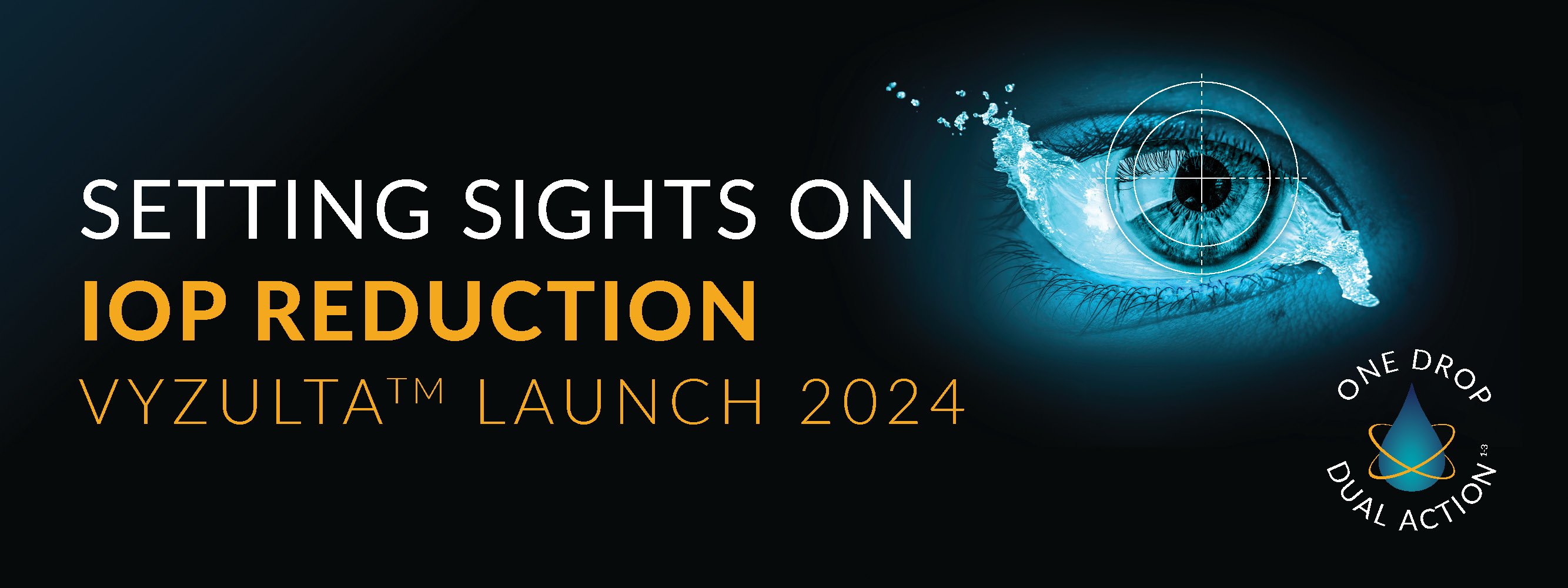 Bausch & Lomb VYZULTA Launch 2024